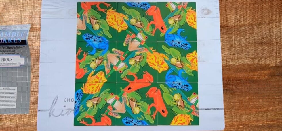 How to Solve Scramble Squares Puzzles: A Complete Guide to Solving the ...