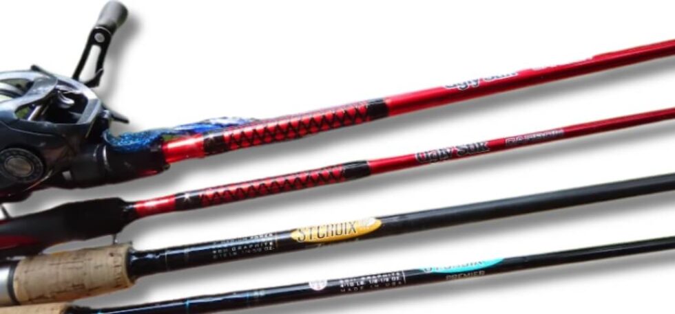 Best Fishing Rods for Beginners - Panorama Pens